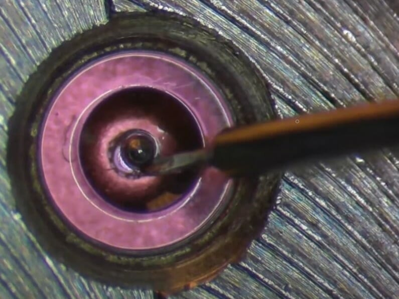 Watch Lubrication for Beginners | Watch Repair Tutorials